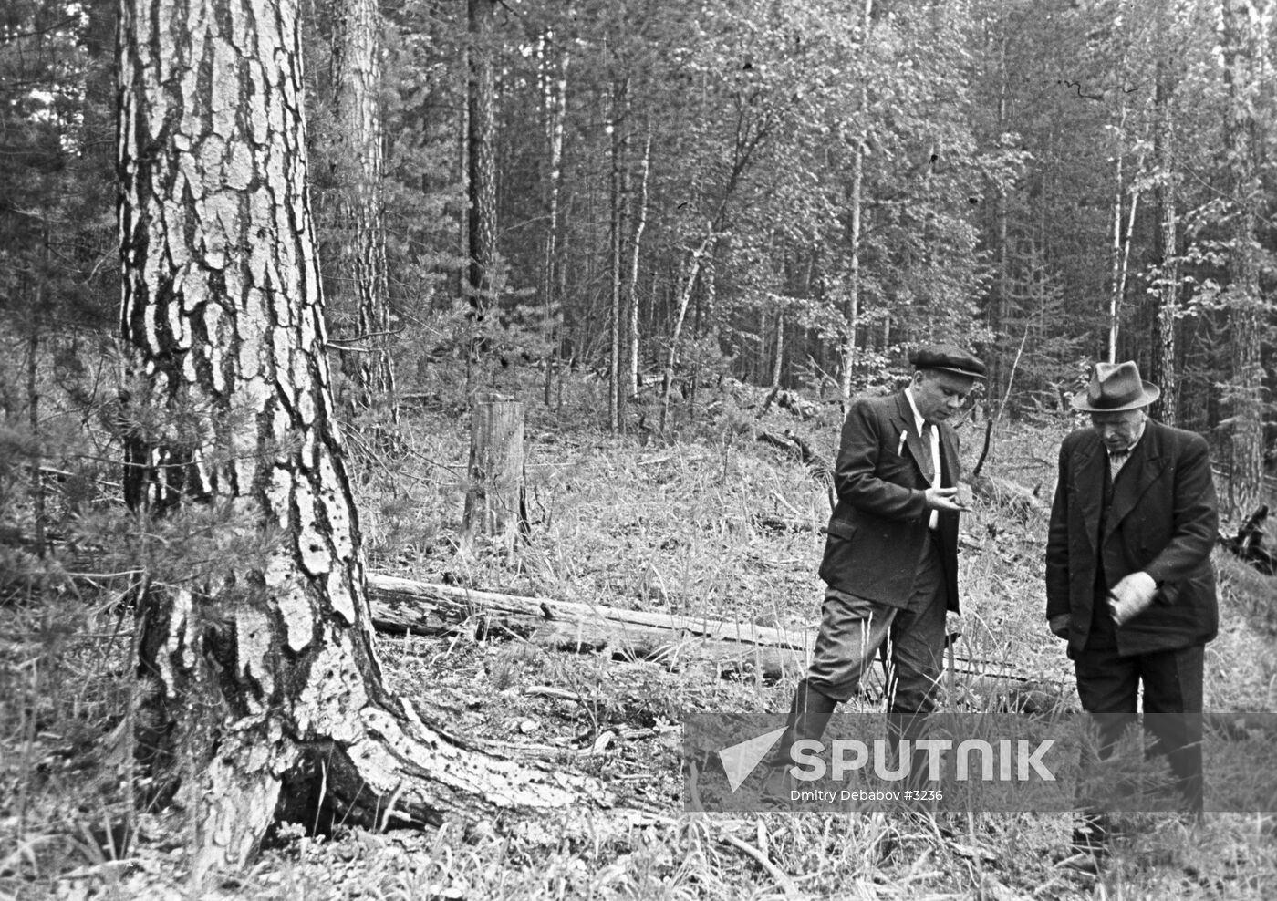 Bardin Sitnikov ore survey | Sputnik Mediabank