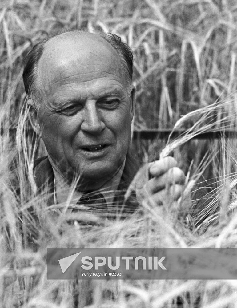 BARAYEV FIELD Sputnik Mediabank barayev-field-sputnik-mediabank