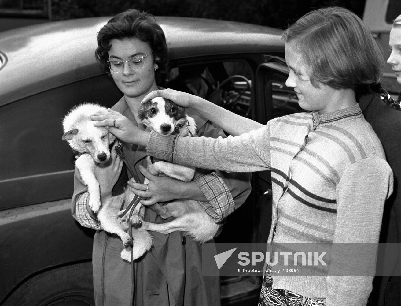 What Kind Of Dogs Were Belka And Strelka What Kind Of Dogs Were Belka And Strelka