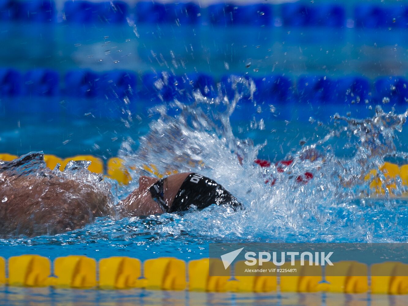 2013 World Aquatics Championships. Day 9. Swimming | Sputnik Mediabank