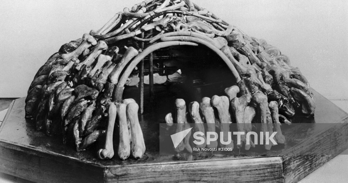 DWELLING PALEOLITHIC MAMMOTH BONE | Sputnik Mediabank
