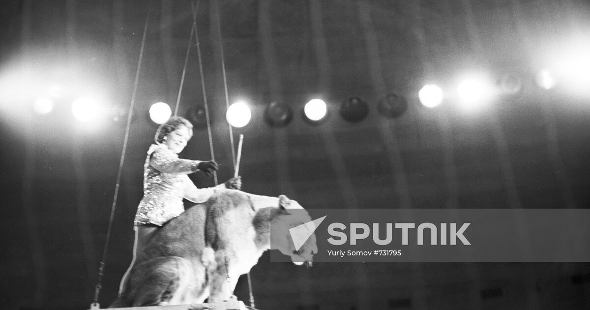 The Great Moscow State Circus | Sputnik Mediabank