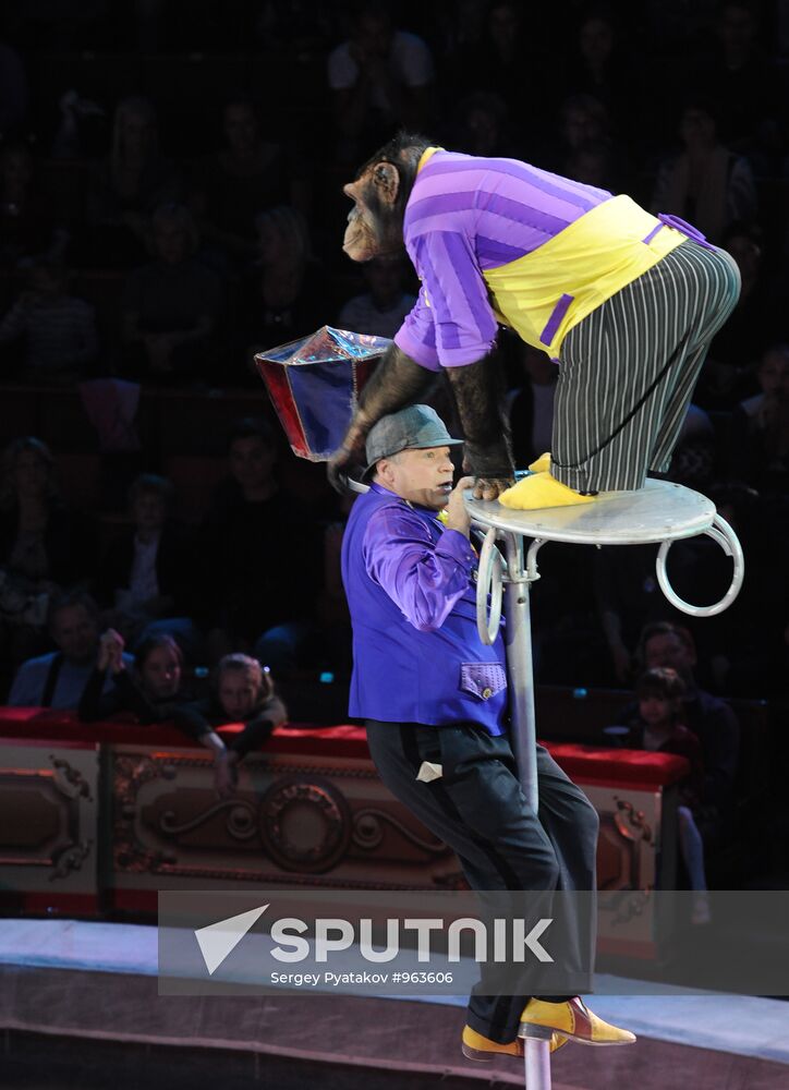 International circus festival Golden Bouffe | Sputnik Mediabank