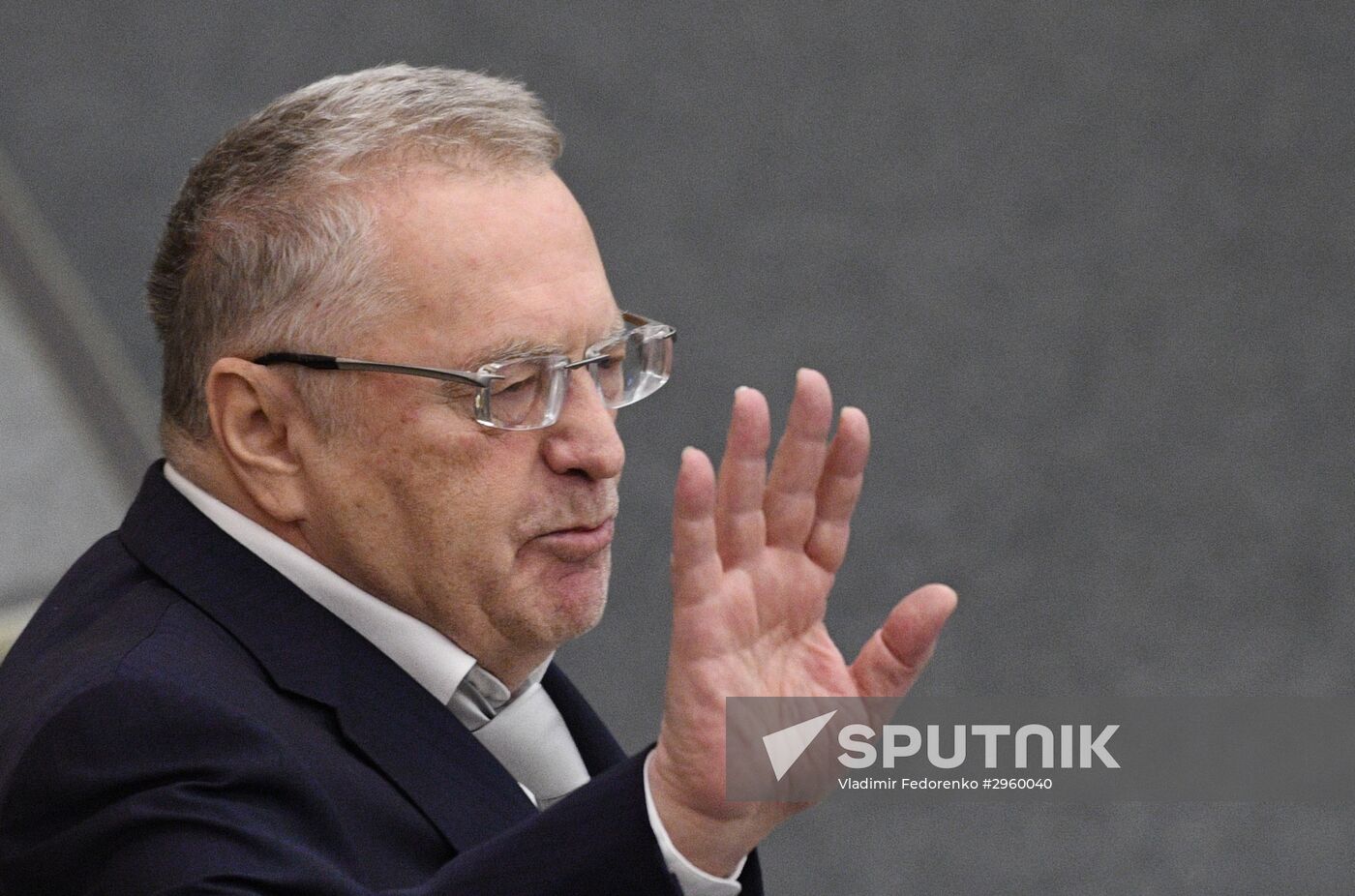 State Duma plenary meeting | Sputnik Mediabank