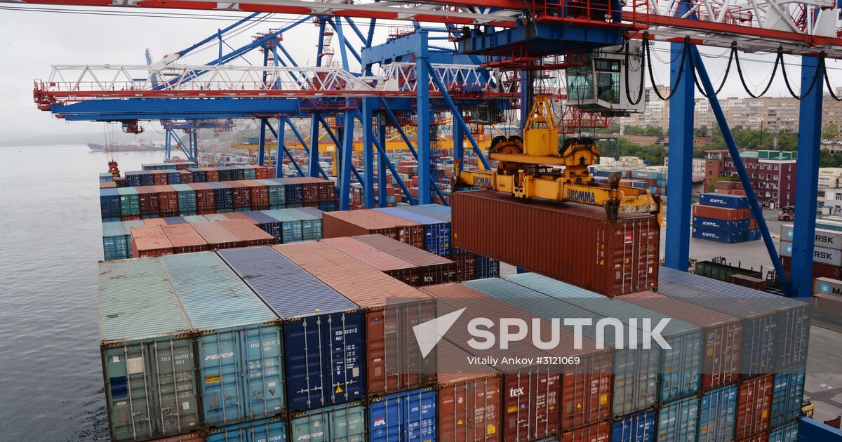 Fesco Diomid container ship arrives in port of Vladivostok | Sputnik ...
