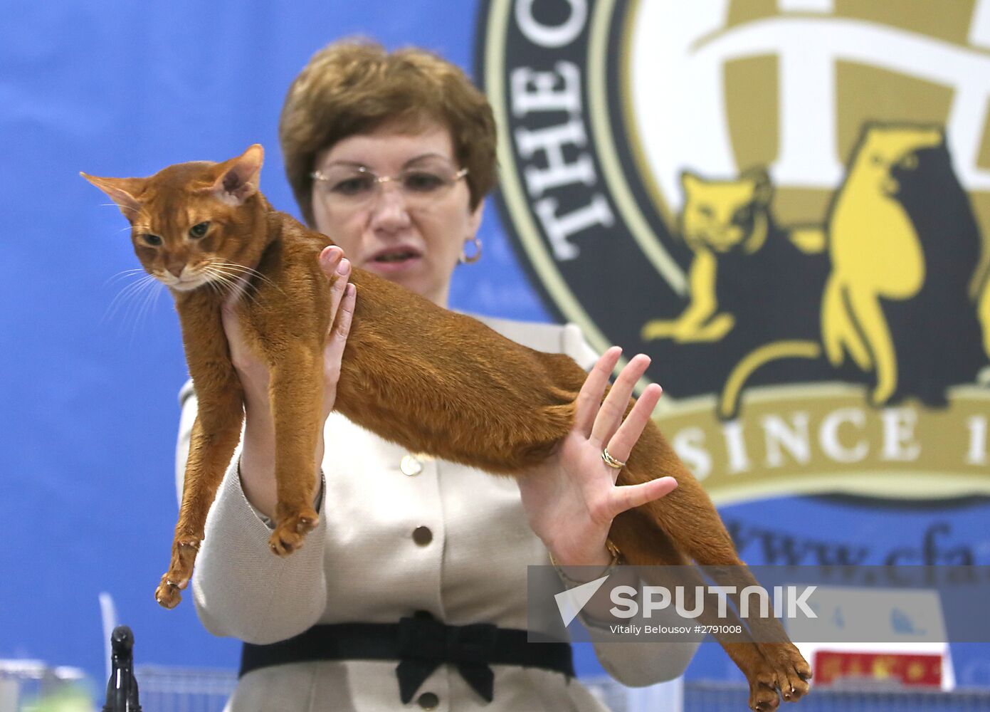 Cat exhibition in Moscow's Sokolniki Exhibition and Convention Center ...
