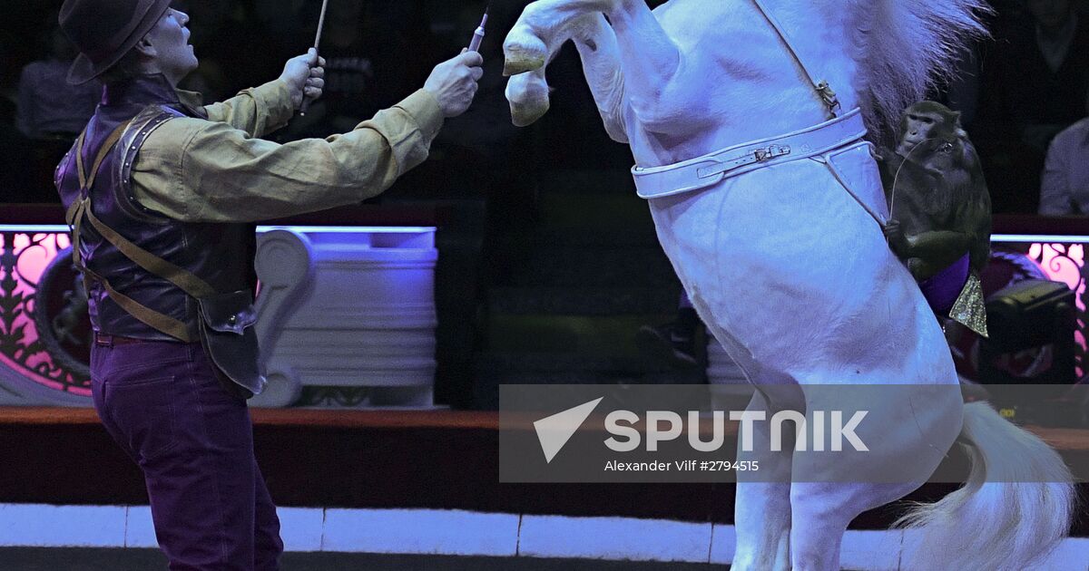 Premiere of new program "Bravo" at Moscow Nikulin's Circus | Sputnik ...