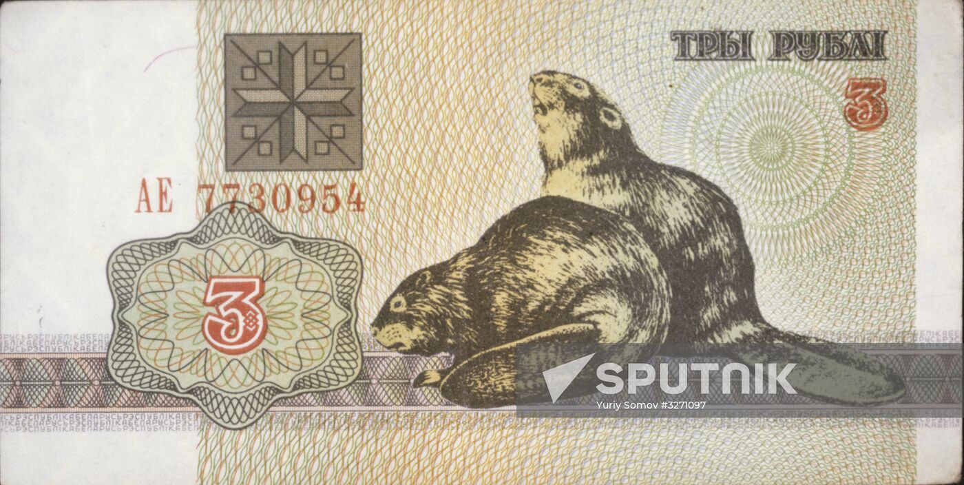 Belarusian banknotes | Sputnik Mediabank