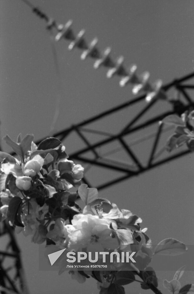 Power lines in Vahsh Valley | Sputnik Mediabank