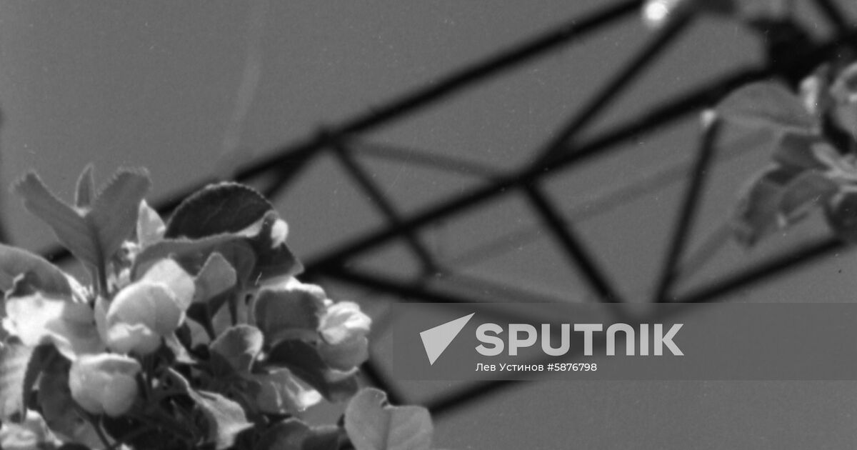 Power lines in Vahsh Valley | Sputnik Mediabank