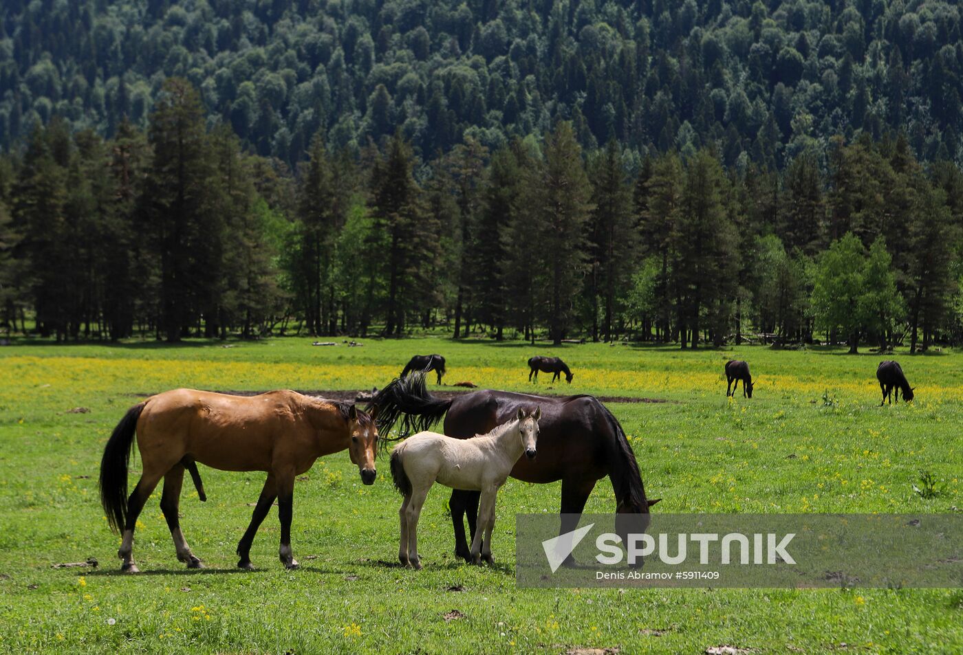 Russia Karachay Cherkessia | Sputnik Mediabank