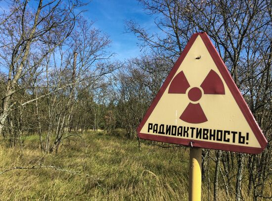 Belarus Radioecological Reserve | Sputnik Mediabank