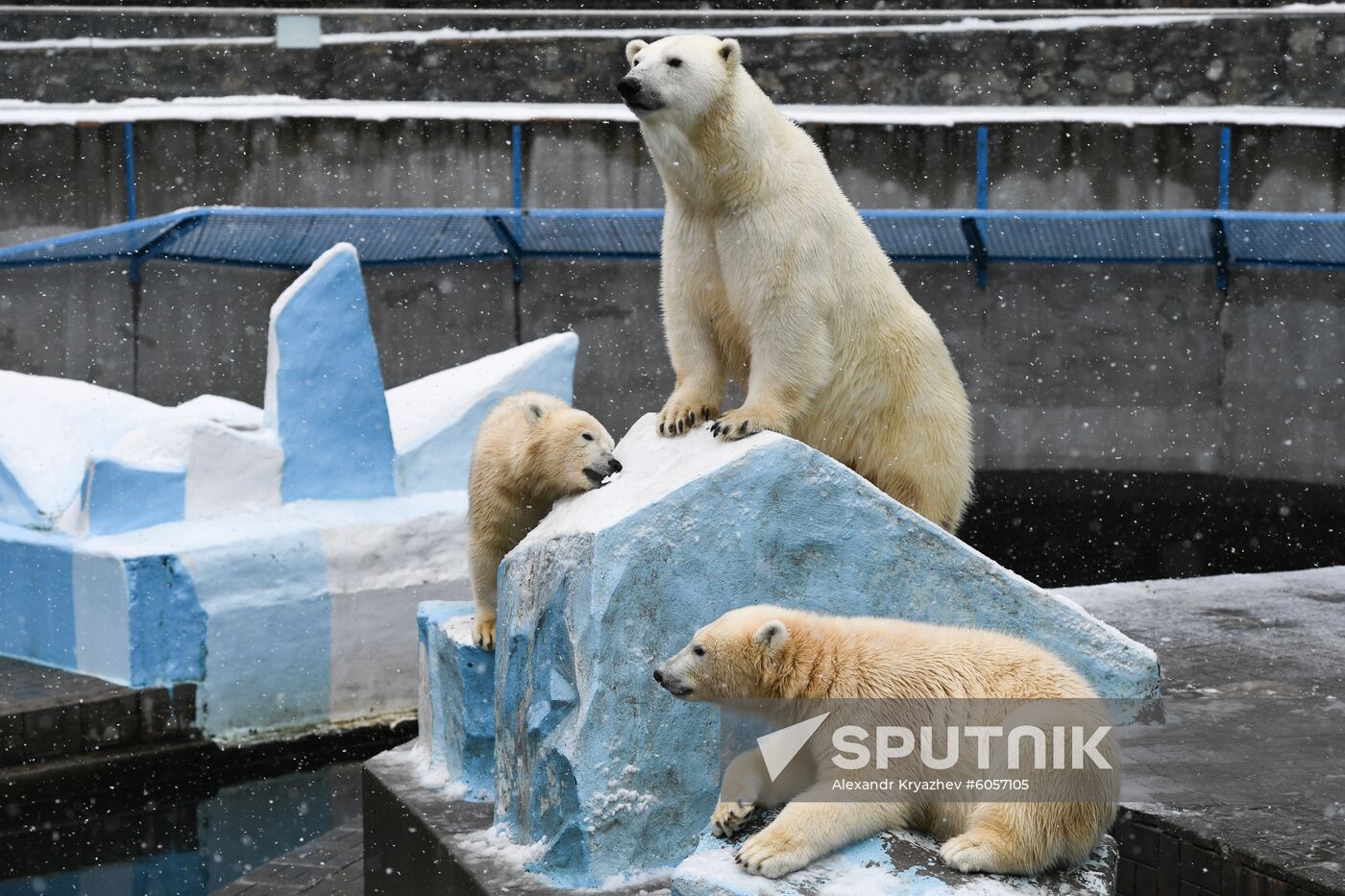 Russia Zoo | Sputnik Mediabank