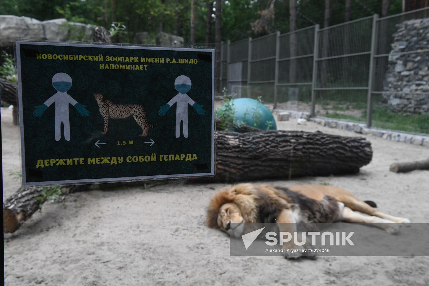 Russia Zoo | Sputnik Mediabank