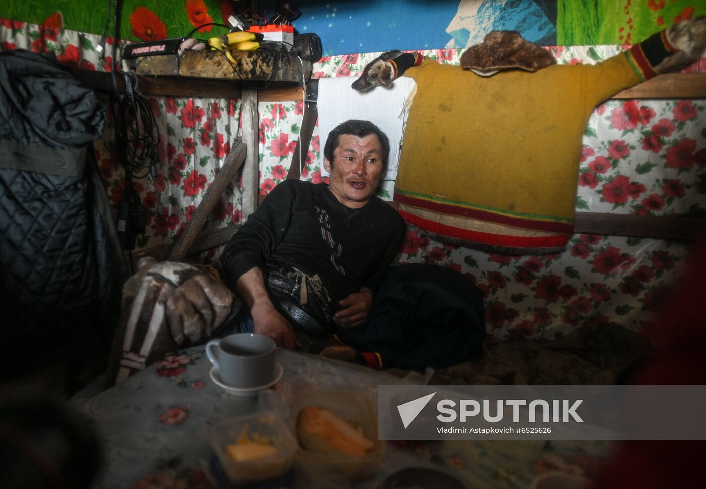 Russia Reindeer Breeding | Sputnik Mediabank