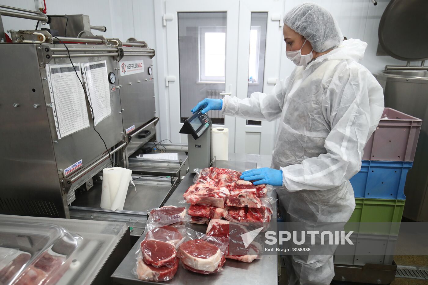 Russia Food Industry | Sputnik Mediabank