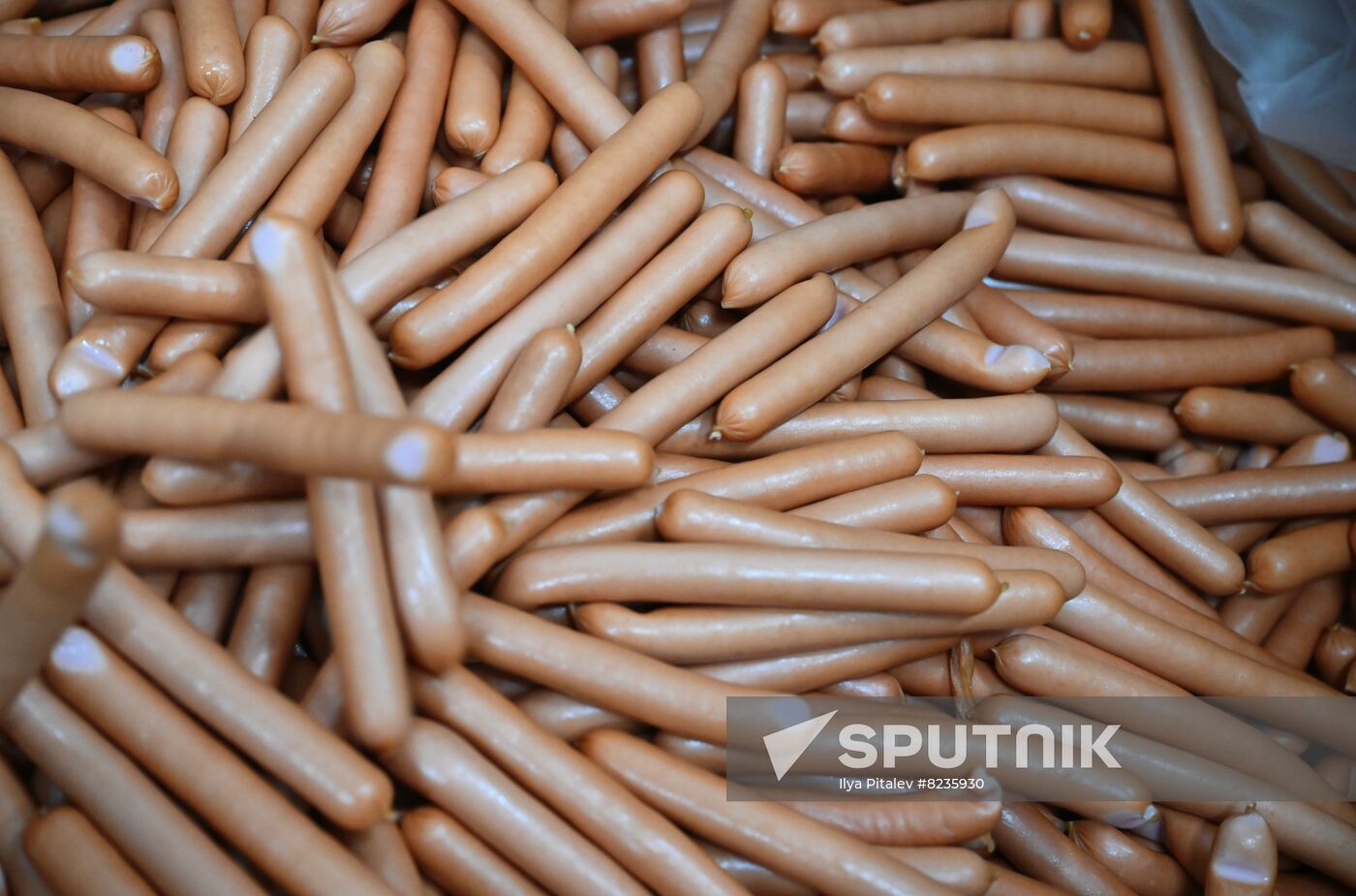 Russia Food Industry | Sputnik Mediabank