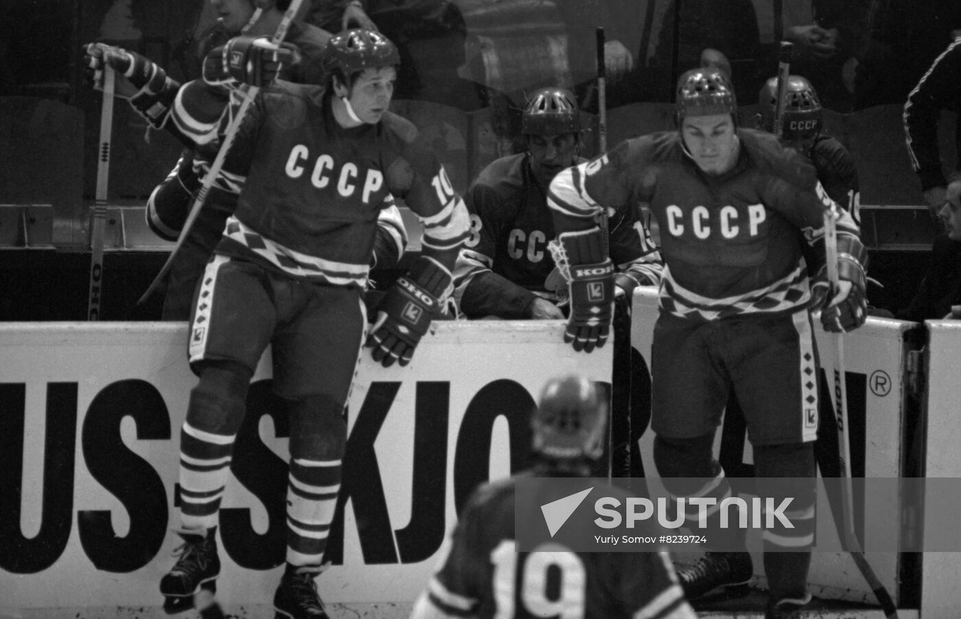 Hockey player Alexander Maltsev | Sputnik Mediabank