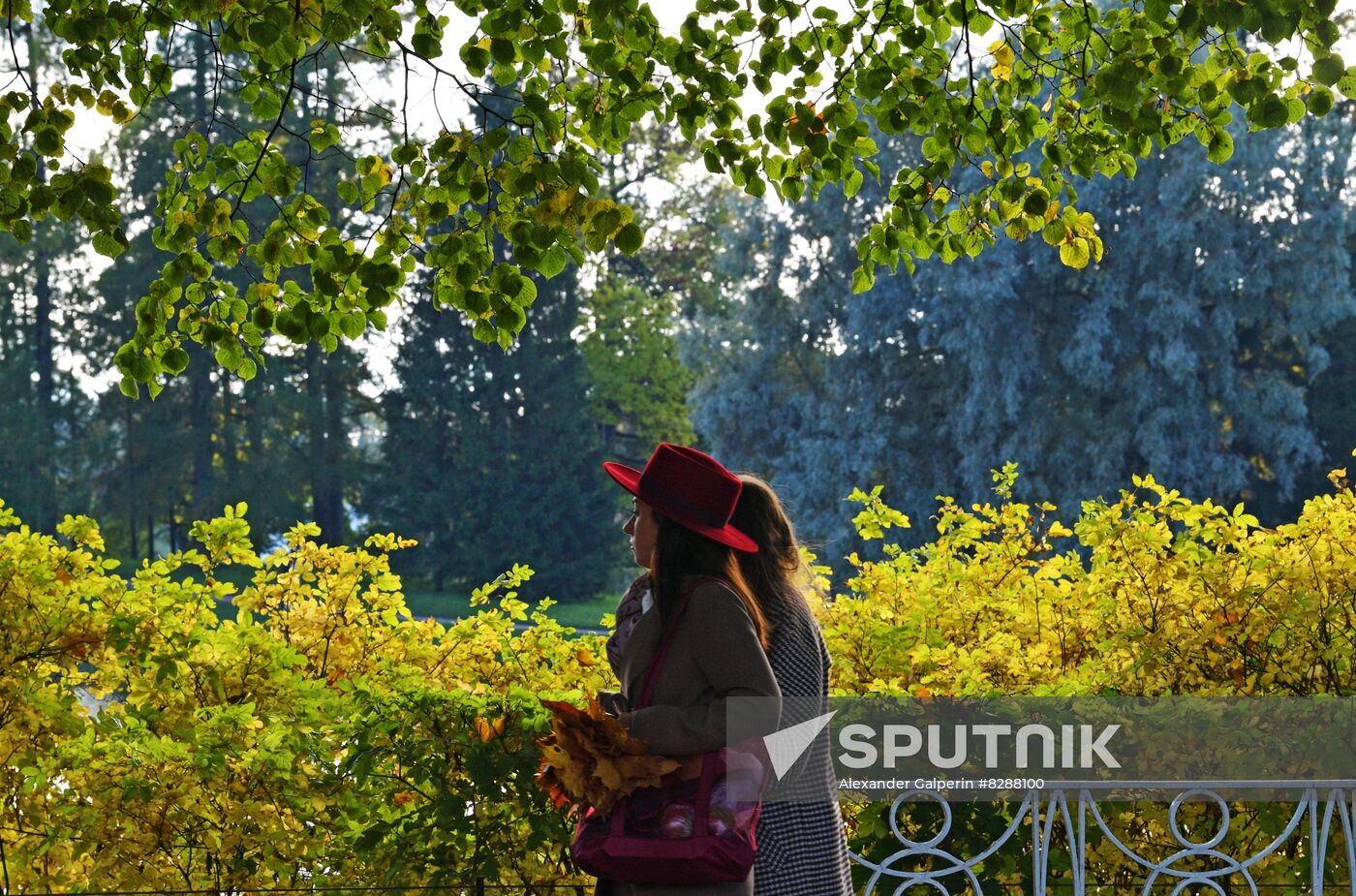 Russia Daily Life | Sputnik Mediabank