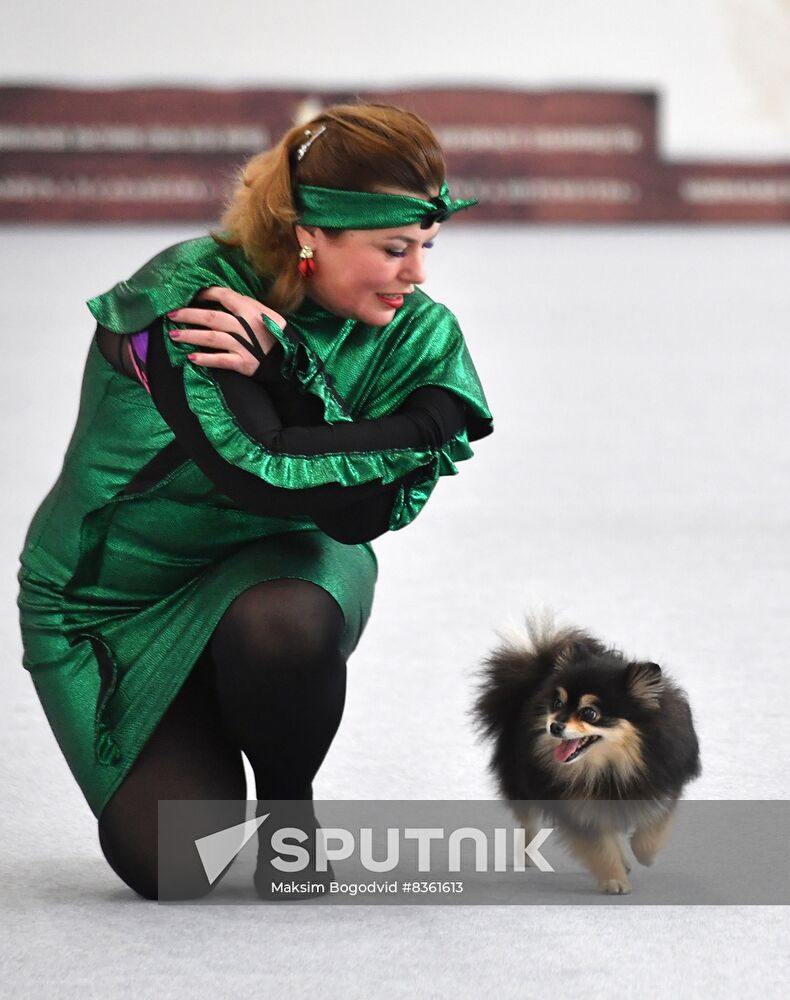 Russia Dog Show | Sputnik Mediabank