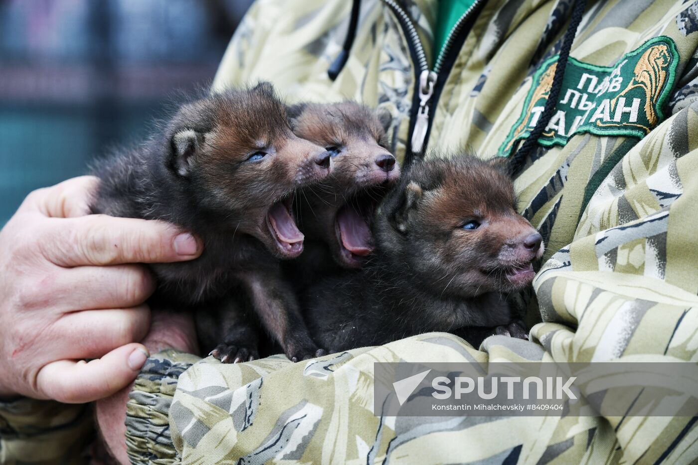 Russia Zoo | Sputnik Mediabank