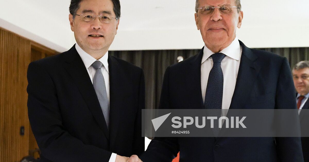 India SCO Foreign Ministers | Sputnik Mediabank