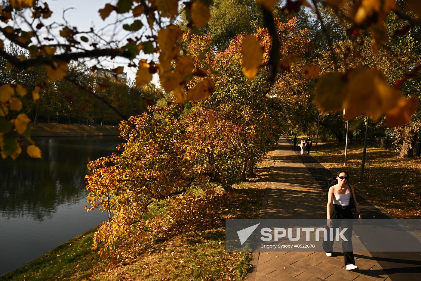 Russia Autumn Season | Sputnik Mediabank
