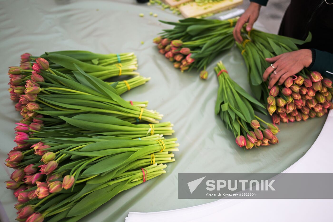 Russia Flower Growing | Sputnik Mediabank